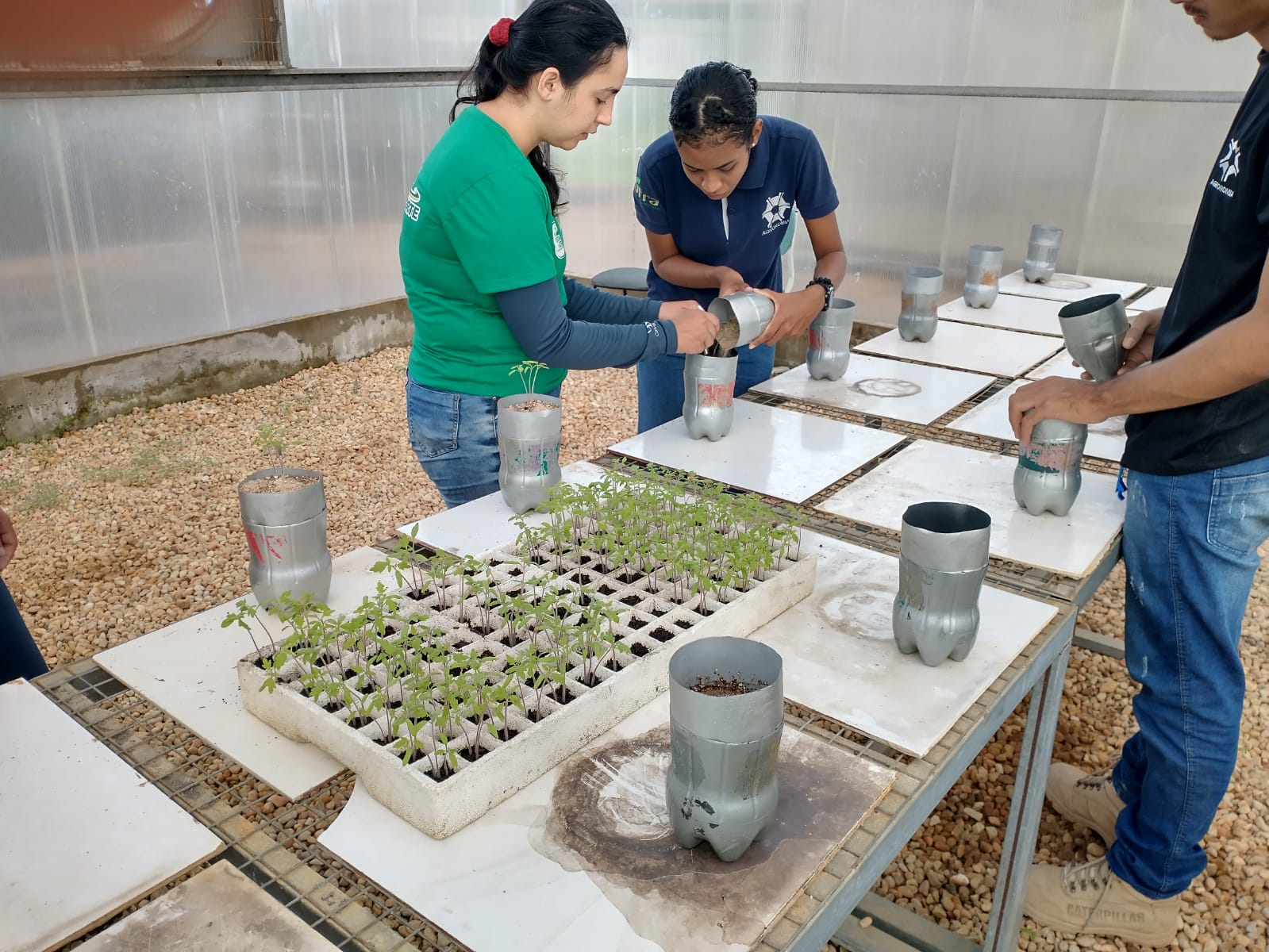 Science is the key to fighting crop pests and diseases