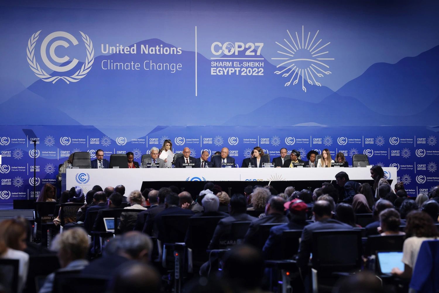 Future of the Amazon under discussion at COP 28