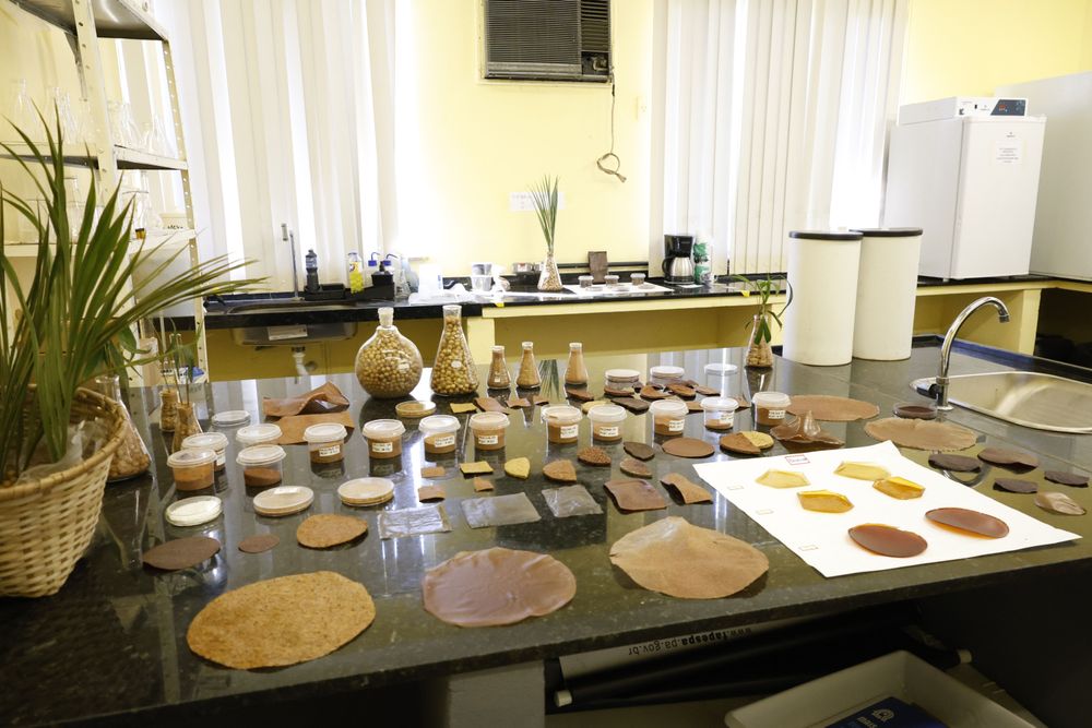 Material produced in the Amazon is a promise to reduce damage to nature