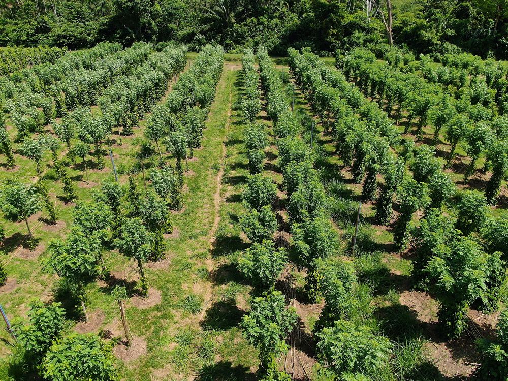 Sustainable technologies cause less environmental impact